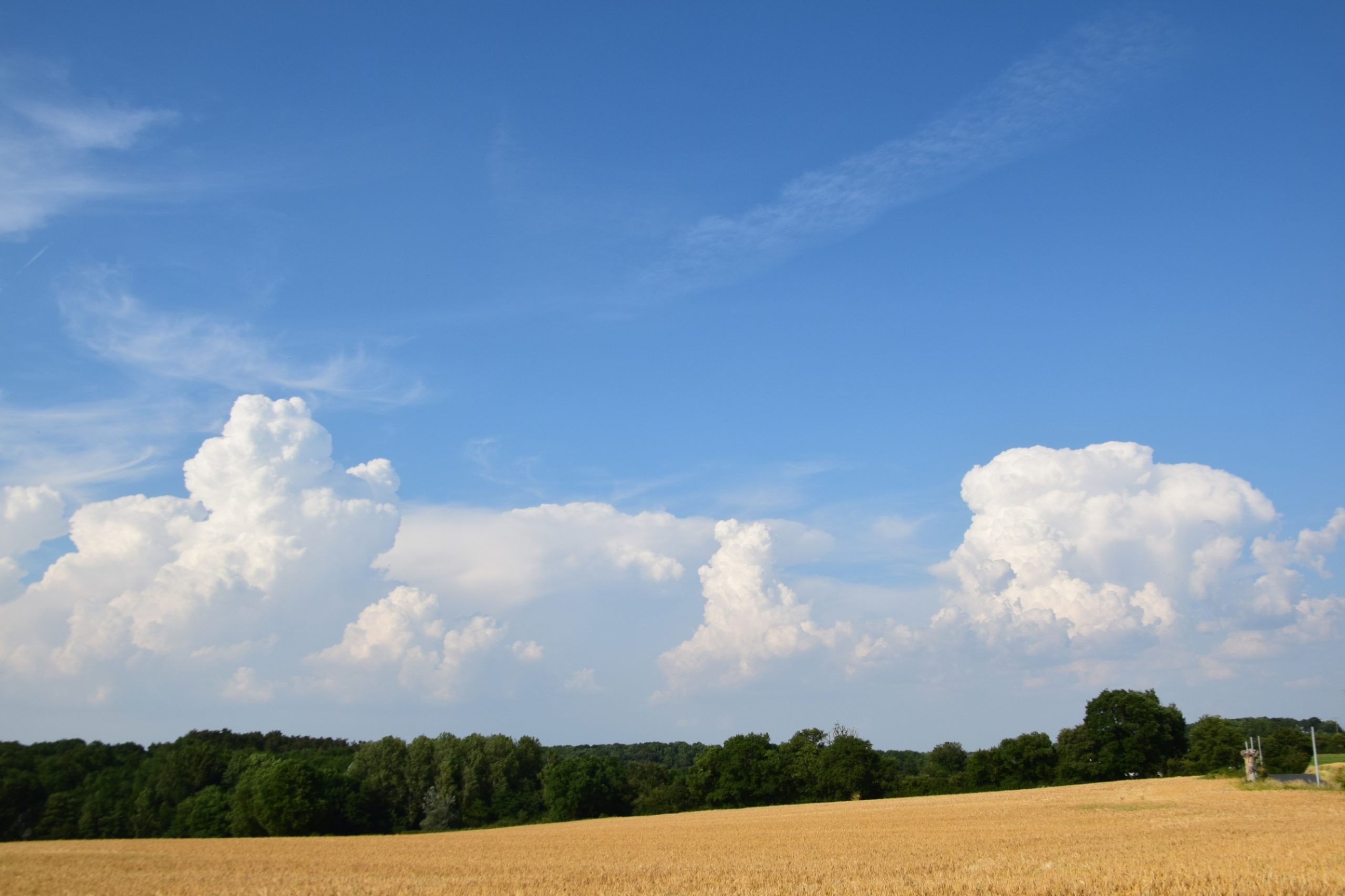MÉTÉO CENTRE – VAL DE LOIRE DU 24 AU 30 JUIN 2024 - Météo Centre